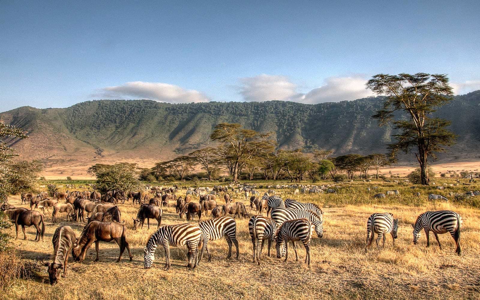 Mapa Da Cratera Ngorongoro Os Melhores Hotéis Perto De Ngorongoro